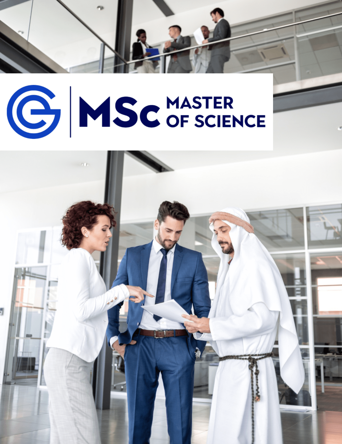MSc - Master of Science in International management (MIEX) - ICN ...