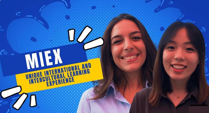 ICN Business School - MSc in International Management (MIEX) - ICN